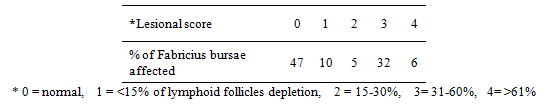 Lesion Scores of Bursa Cloacae in Broiler | Engormix