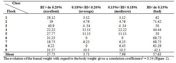 Lesion Scores of Bursa Cloacae in Broiler | Engormix