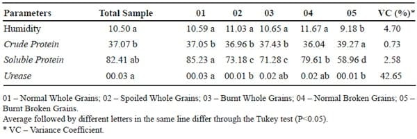 Physical and Chemical Characteristics Studies During the Processing of ...