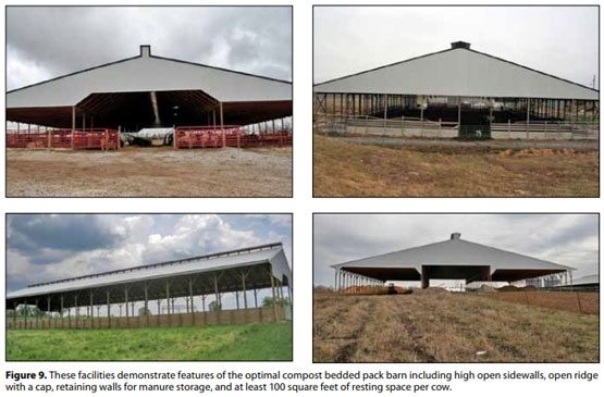 Compost Bedded Pack Barn Design. Features and Management Considerations ...