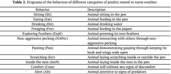 Performance and welfare of different genetic groups of laying hen ...