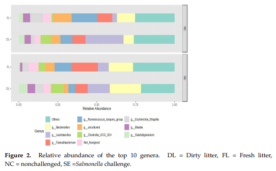 Influence of Different Litter Regimens on Ceca Microbiota Profiles in ...