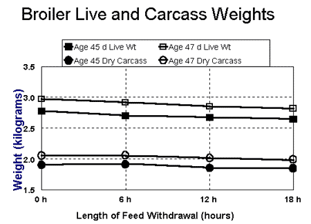 Feed Withdrawal: Effects on Contamination and Carcass Yield | Engormix