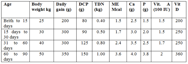 Nutritional Requirements of Breeding Bulls | Engormix