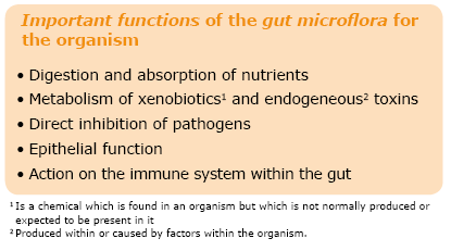 intestinal microflora in animals | Engormix