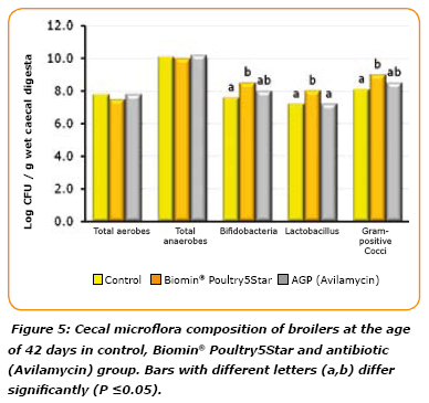 intestinal microflora in animals | Engormix
