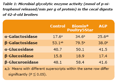 intestinal microflora in animals | Engormix
