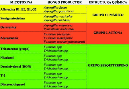 mycotoxin's analysis in feed | Engormix