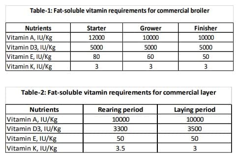 Importance of Fat-Soluble Vitamins in Poultry Health and Nutrition ...