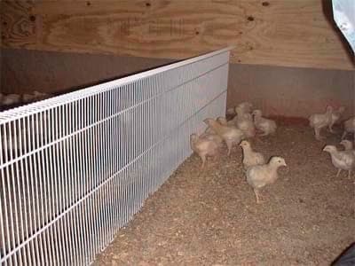 The Inverted-V Migration Fence...A First Look | Engormix