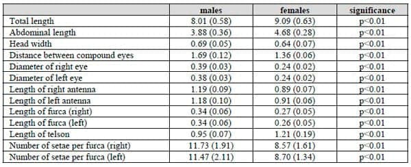 Morphological and biometric characterisation of rare males and sexual ...