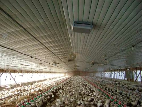 Attic Inlets Operation Guidelines | Engormix