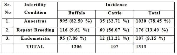 Incidence of Infertility Problems in Cattle and Buffaloes | Engormix