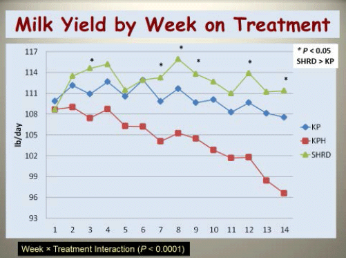 Update on Corn Shredlage for Dairy Cows | Engormix