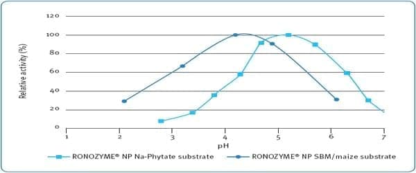 Innovation in enzyme development | Engormix