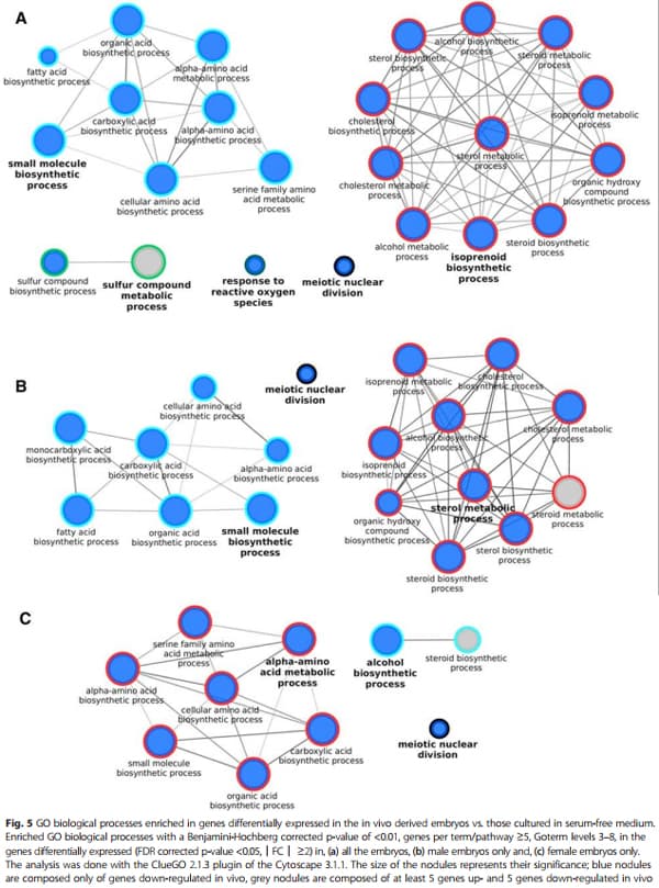 Suboptimal culture conditions induce more deviations in gene expression ...