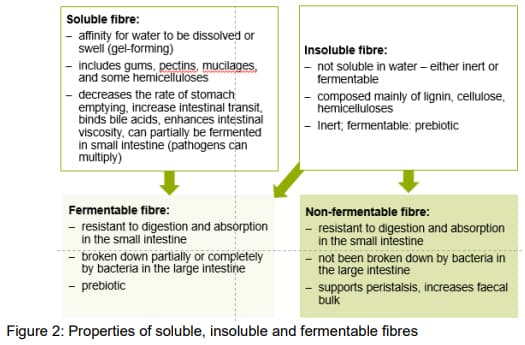 “Fibre”: necessary paradigm shift in pig feeding | Engormix