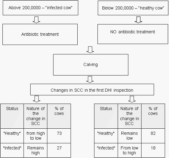 Selective Dry Cow Treatment (SDCT)– based on evidences | Engormix