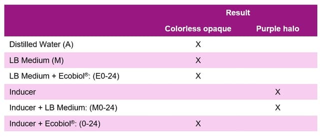Bacillus amyloliquefaciens CECT 5940 (Ecobiol®) expresses quorum ...
