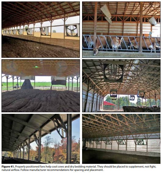 Compost Bedded Pack Barn Design. Features and Management Considerations ...