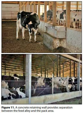 Compost Bedded Pack Barn Design. Features and Management Considerations ...