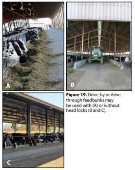 Compost Bedded Pack Barn Design. Features and Management Considerations ...