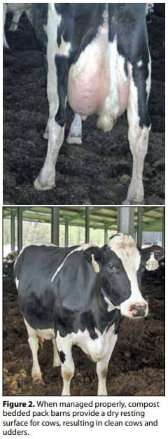 Compost Bedded Pack Barn Design. Features and Management Considerations ...