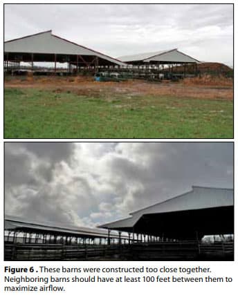 Compost Bedded Pack Barn Design. Features and Management Considerations ...