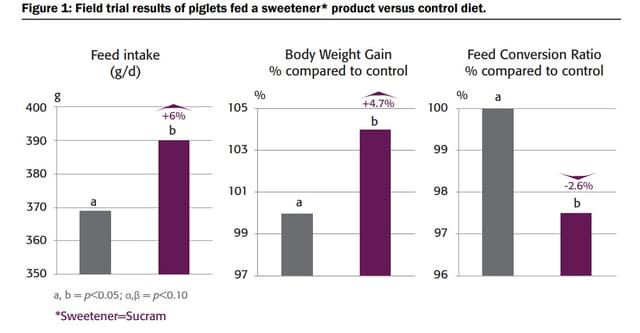 Optimizing piglet performance through appetite stimulation and gut ...