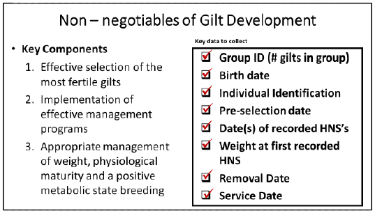 Gilt reproductive challenges for the next decade – measuring and ...