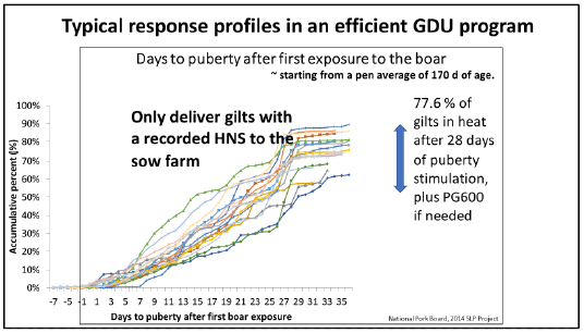 Gilt reproductive challenges for the next decade – measuring and ...