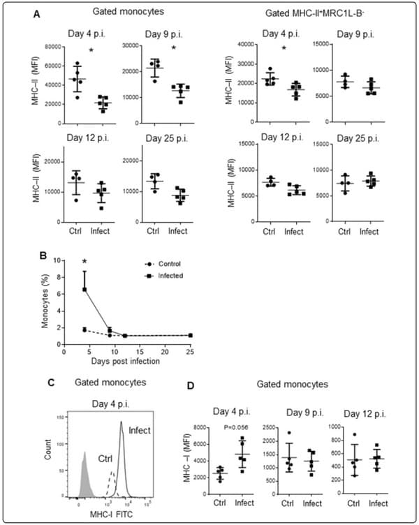 A transient increase in MHC-II low monocytes after experimental ...