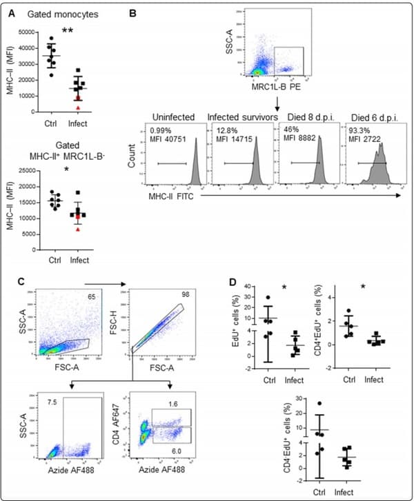 A transient increase in MHC-II low monocytes after experimental ...