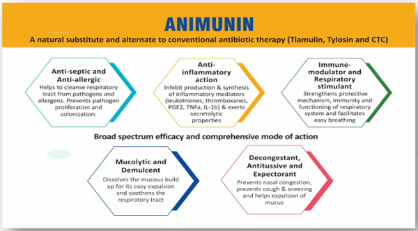 Efficacy of phytogenic formulation (Animunin) for the management of respiratory viral infections ...