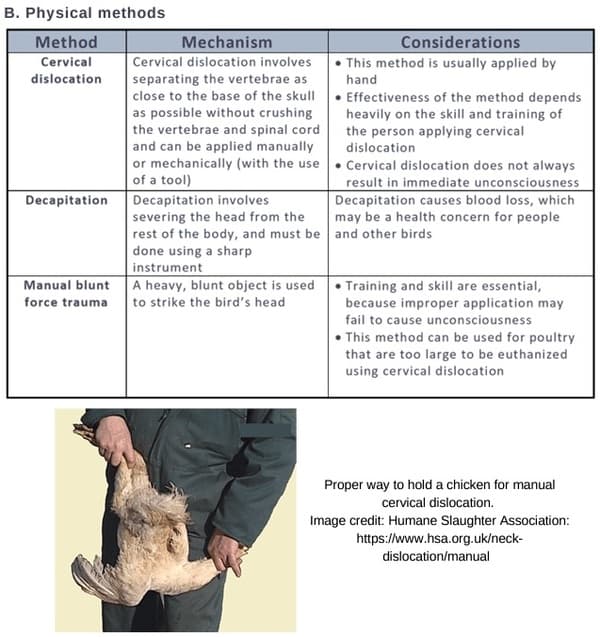 On-farm euthanasia methods for poultry | Engormix