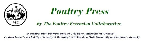 Food labels, claims and animal welfare | Engormix