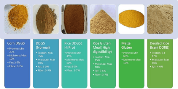 Methods and Implications for DDGS Production | Engormix