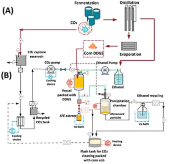Methods and Implications for DDGS Production | Engormix