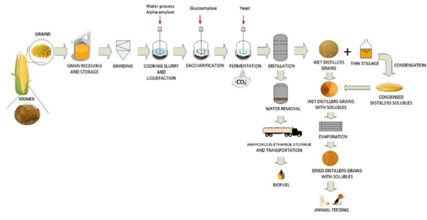 Methods and Implications for DDGS Production | Engormix