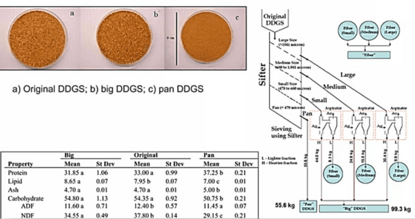 Methods and Implications for DDGS Production | Engormix