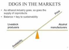 Methods and Implications for DDGS Production | Engormix