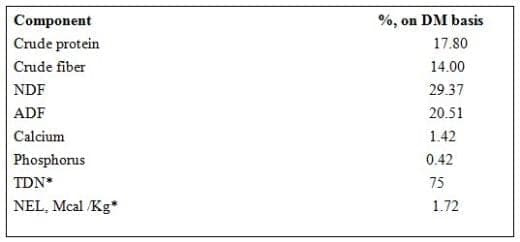 Heat Stress on Lactating Holstein Friesian Cows | Engormix