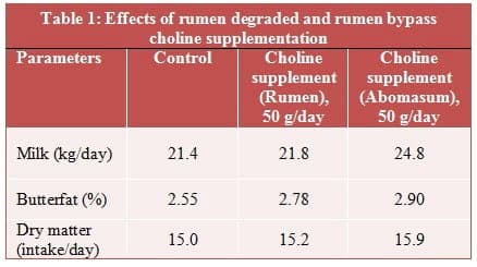 Choline for dairy cows | Engormix
