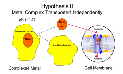 Metal Propionates: A Boon for Today’s Dairy Animal | Engormix