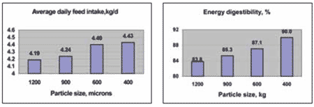 animal feed and processing method | Engormix