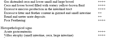 Poult Enteritis and Mortality Syndrome: Definition and Nutritional ...