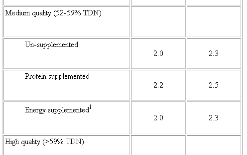 Basic Nutrient Requirements of Beef Cows | Engormix