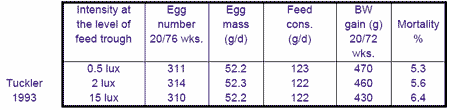 Light intensity management and relation with liveability | Engormix