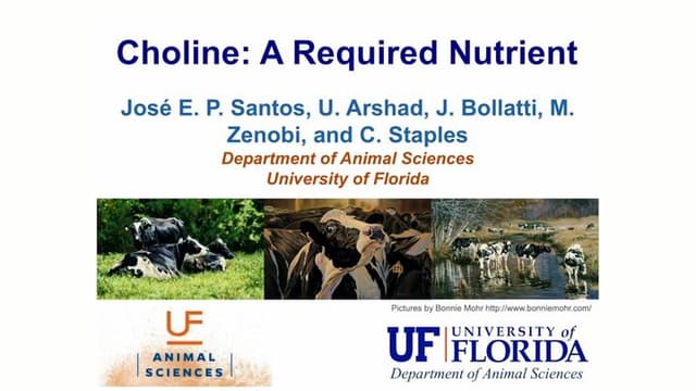 Choline Encapsulation Technology for the Dairy Industry | Engormix